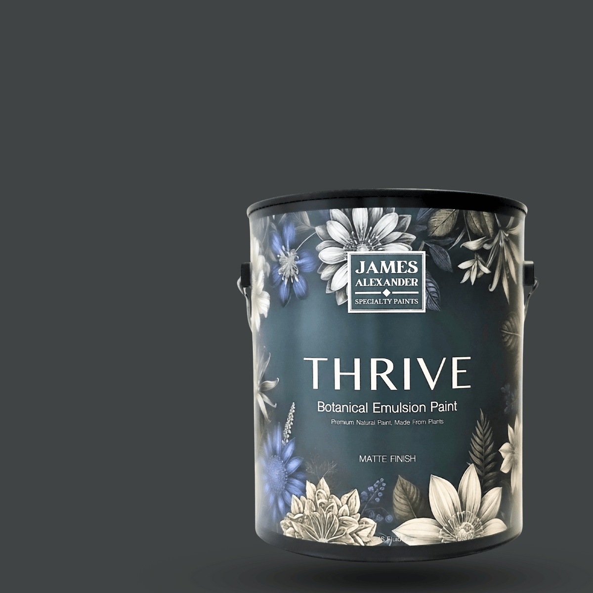 Graphite - Thrive Natural Interior Paint – James Alexander Specialty Paints